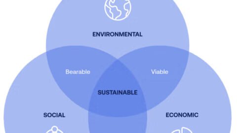 BRSR Reporting: Business Responsibility and Sustainability Report ...